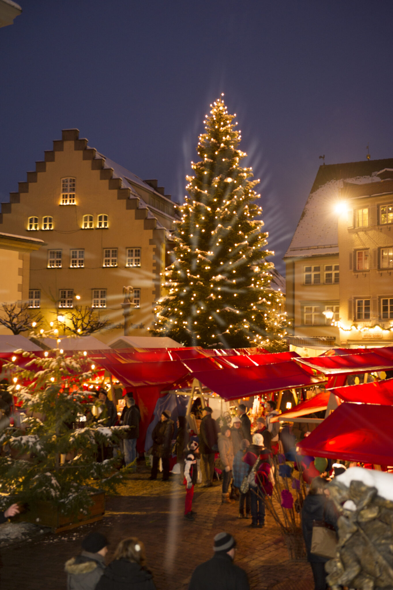 Händler – Wangener-Weihnachtsmarkt